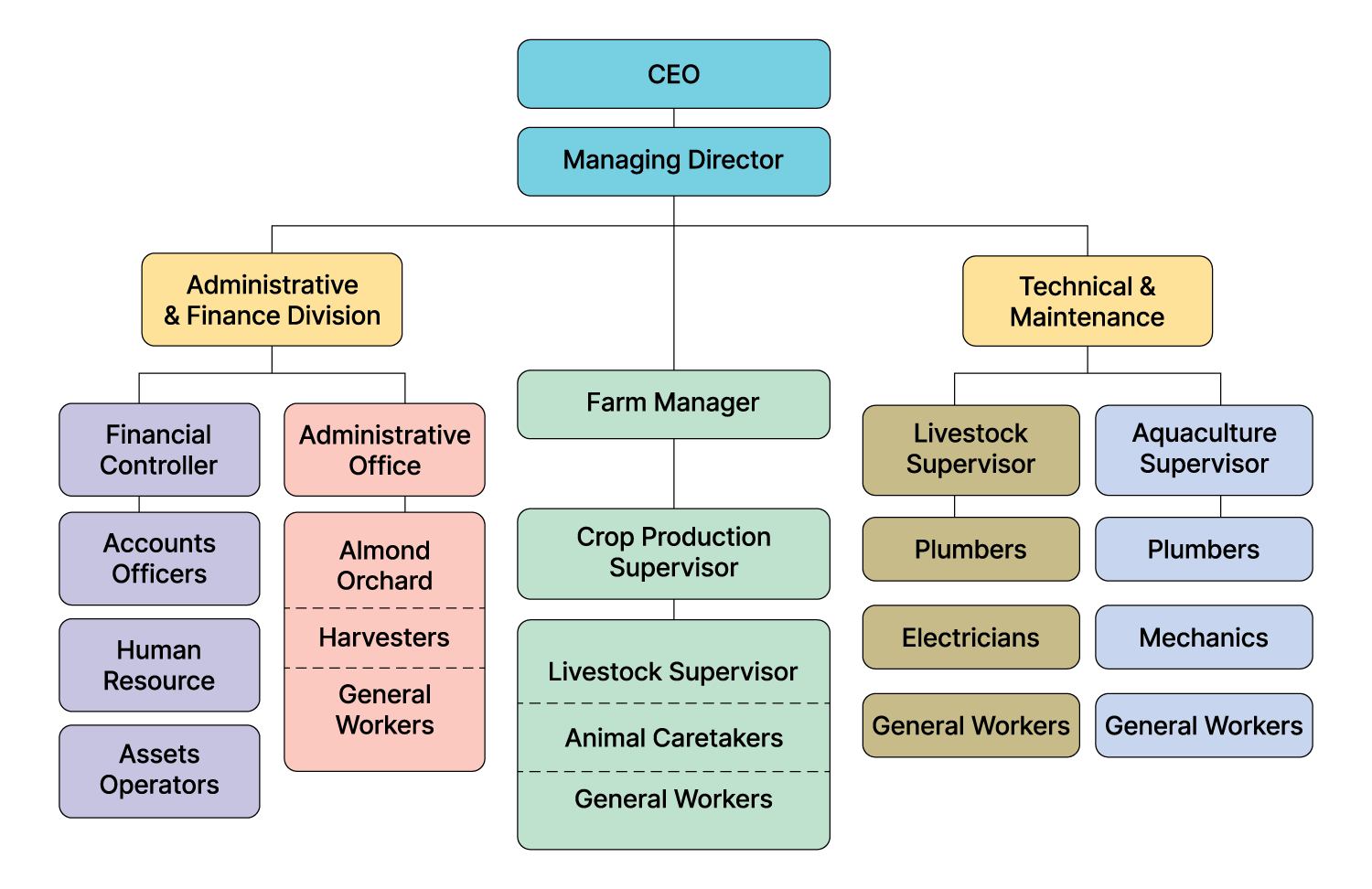 Team Organogram - Hansal Bright Expression